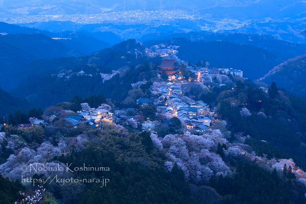 吉野 ／ 奈良 世界遺産 桜の見ごろ時期 | 京都奈良.jp